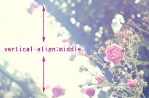 vertical-align:middleが効かない！CSSでテキストを上下（縦）中央揃えにする方法 - NatsukiMemo なつ記メモ of WEBデザインTIPS
